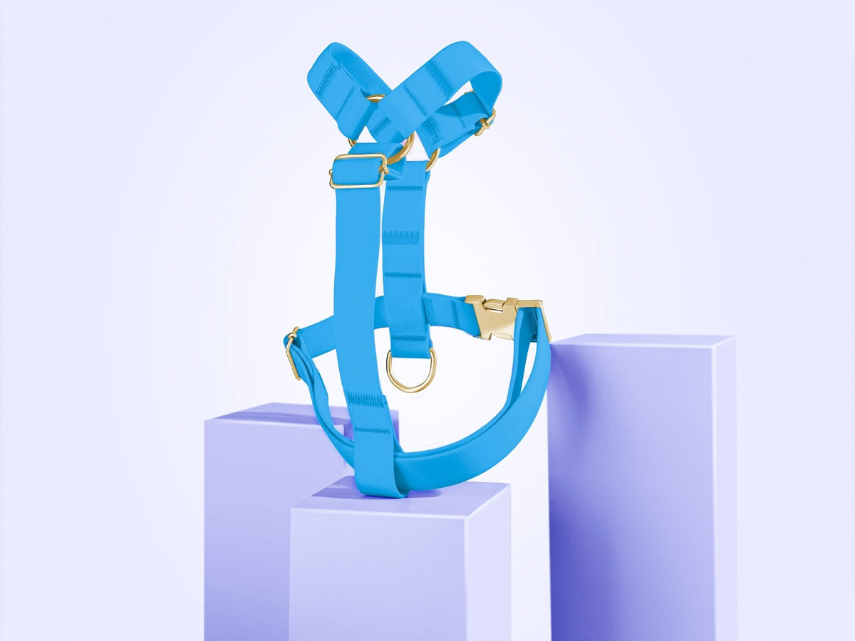 Waterproof Biothane Dog Harness - St George Leather Shop