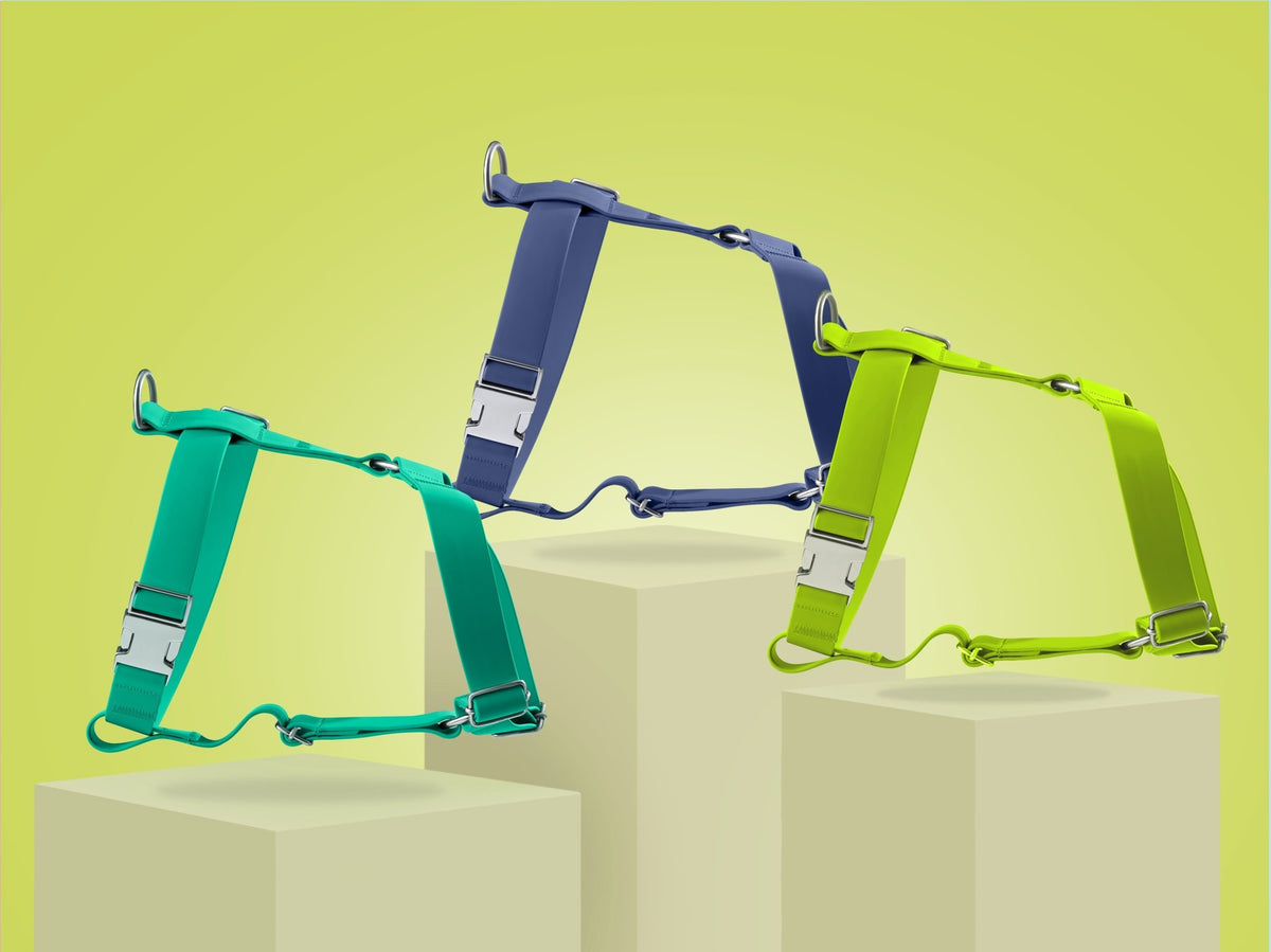 Waterproof Biothane Dog Harness - St George Leather Shop